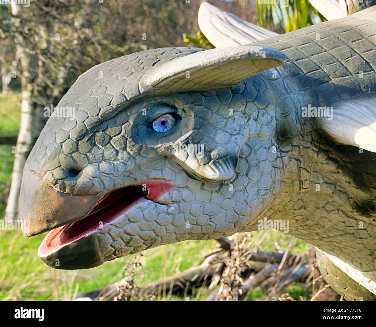 Saichania animatronic model of at Edinburgh Zoo Hilltop dinosaur ...