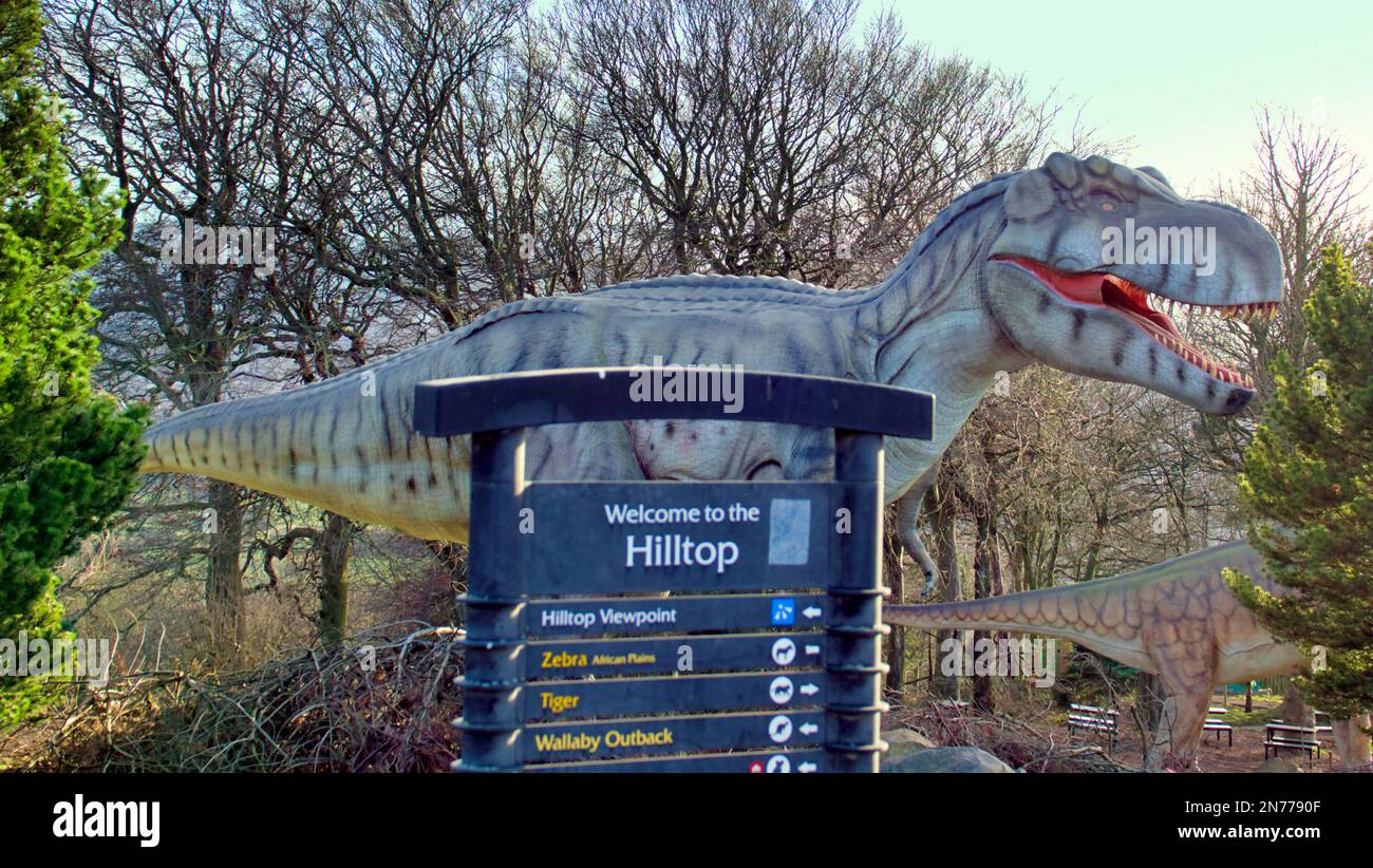 animatronic model of Tyrannosaurus rex often called T. rex or ...