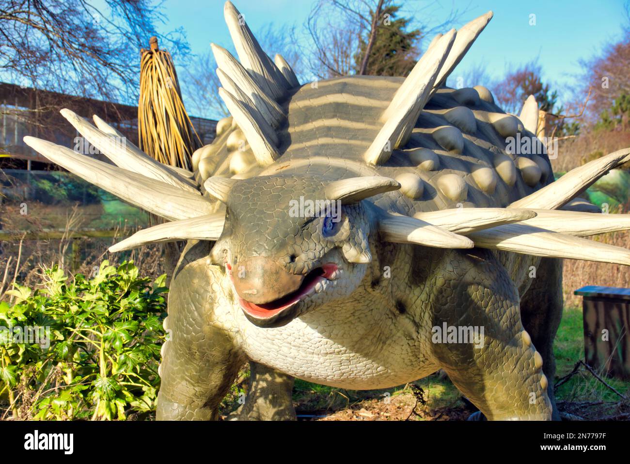 Saichania animatronic model of at Edinburgh Zoo Hilltop dinosaur ...