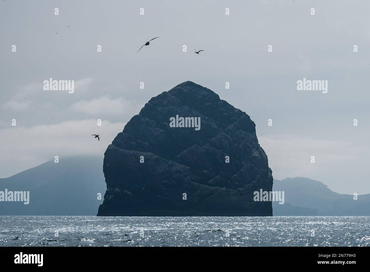 Three sea birds in the air above the dramatic form of Stac Lee, one of ...