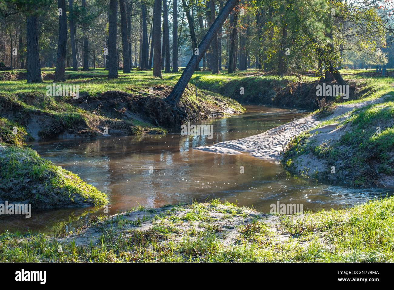 East texas hi-res stock photography and images - Alamy