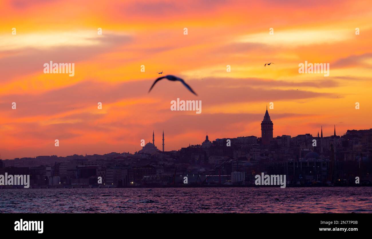 Galata Tower and Maiden's Tower view with Bosphorus tour in Istanbul ...
