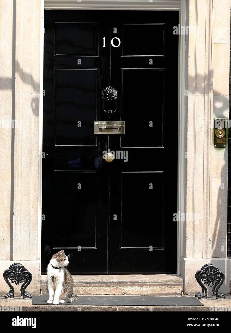 British Prime Minister David Cameron's cat Larry enjoys the sun sitting ...