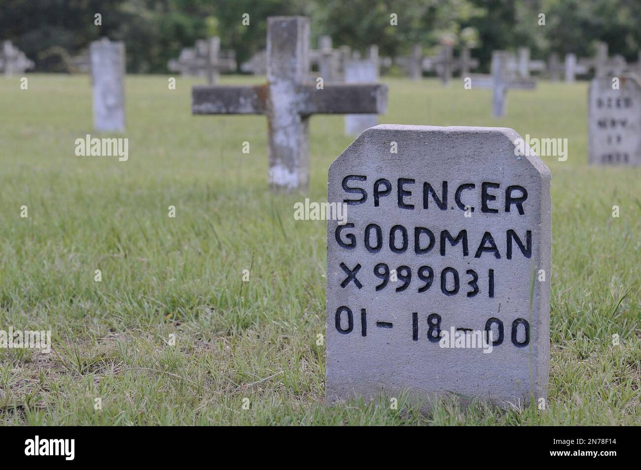 In this photo taken June 12, 2013, the headstone of Texas inmate ...