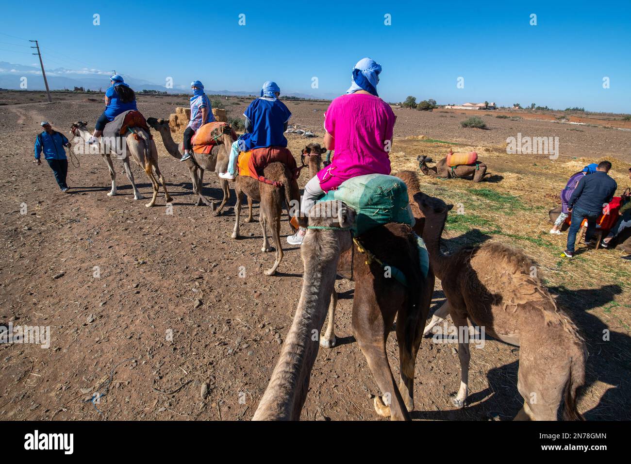 Agafay Desert camel ride Morocco Stock Photo - Alamy