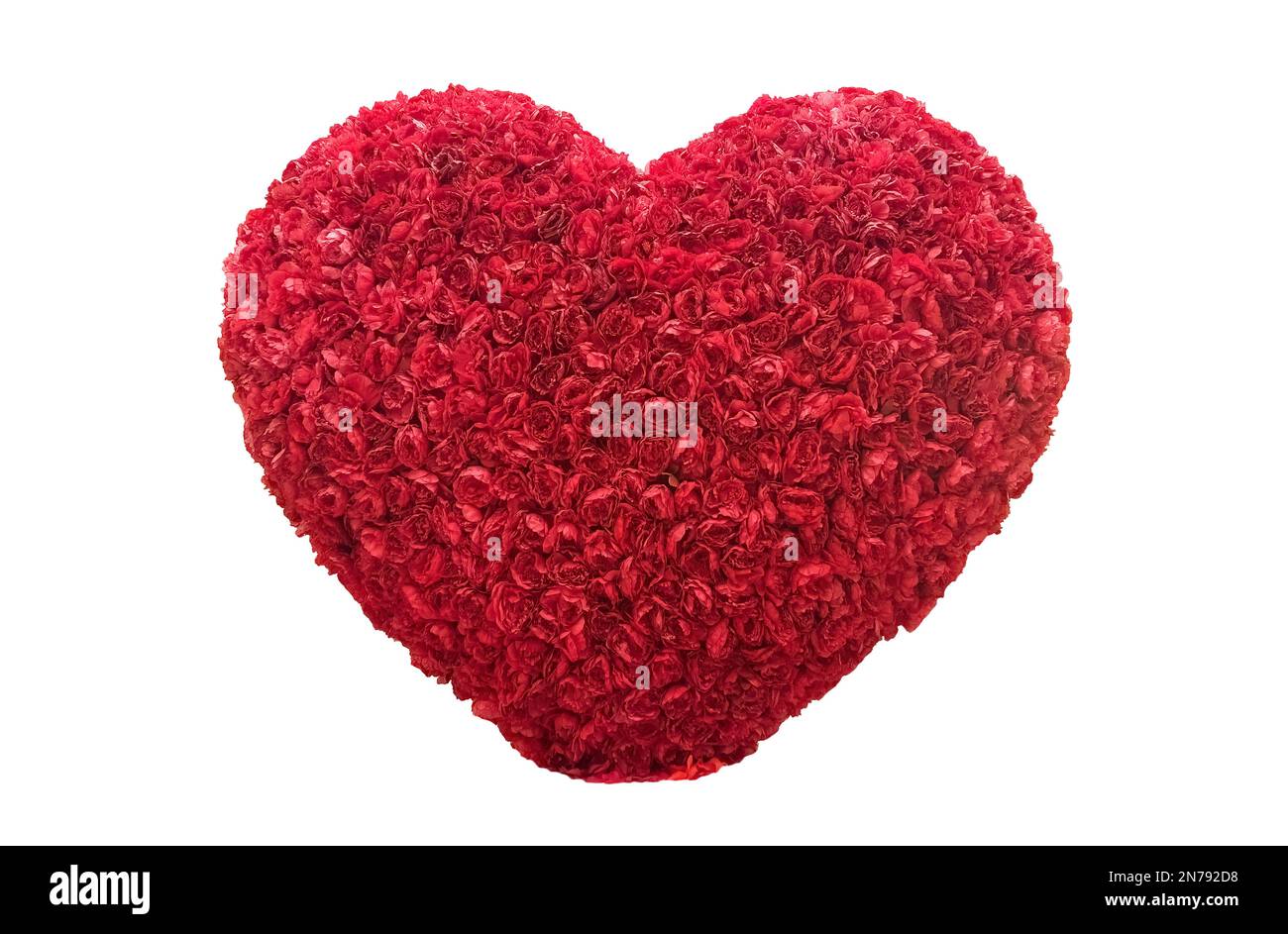 Large heart shape made of small red rose flowers isolated on white ...