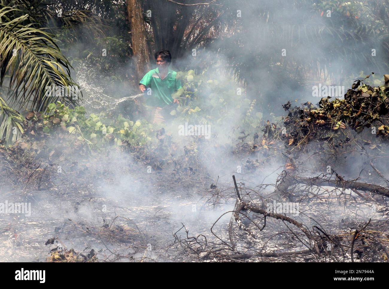 An villager throws a bucket of water on a bushfire in Pekanbaru, Riau ...
