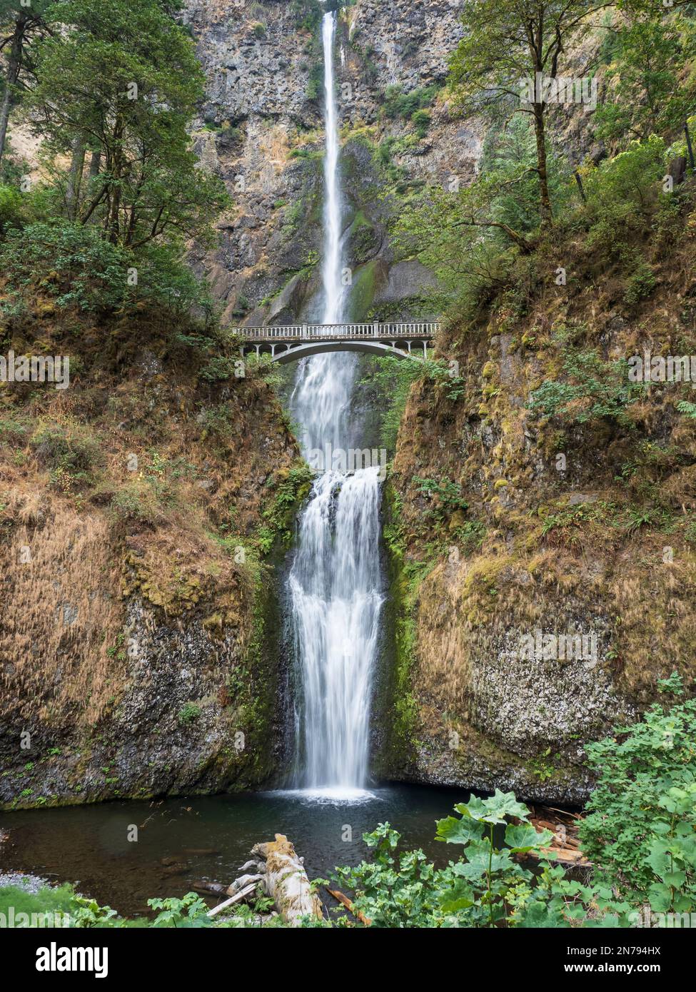 Multnomah Falls, Columbia River Gorge National Scenic Area, Oregon ...