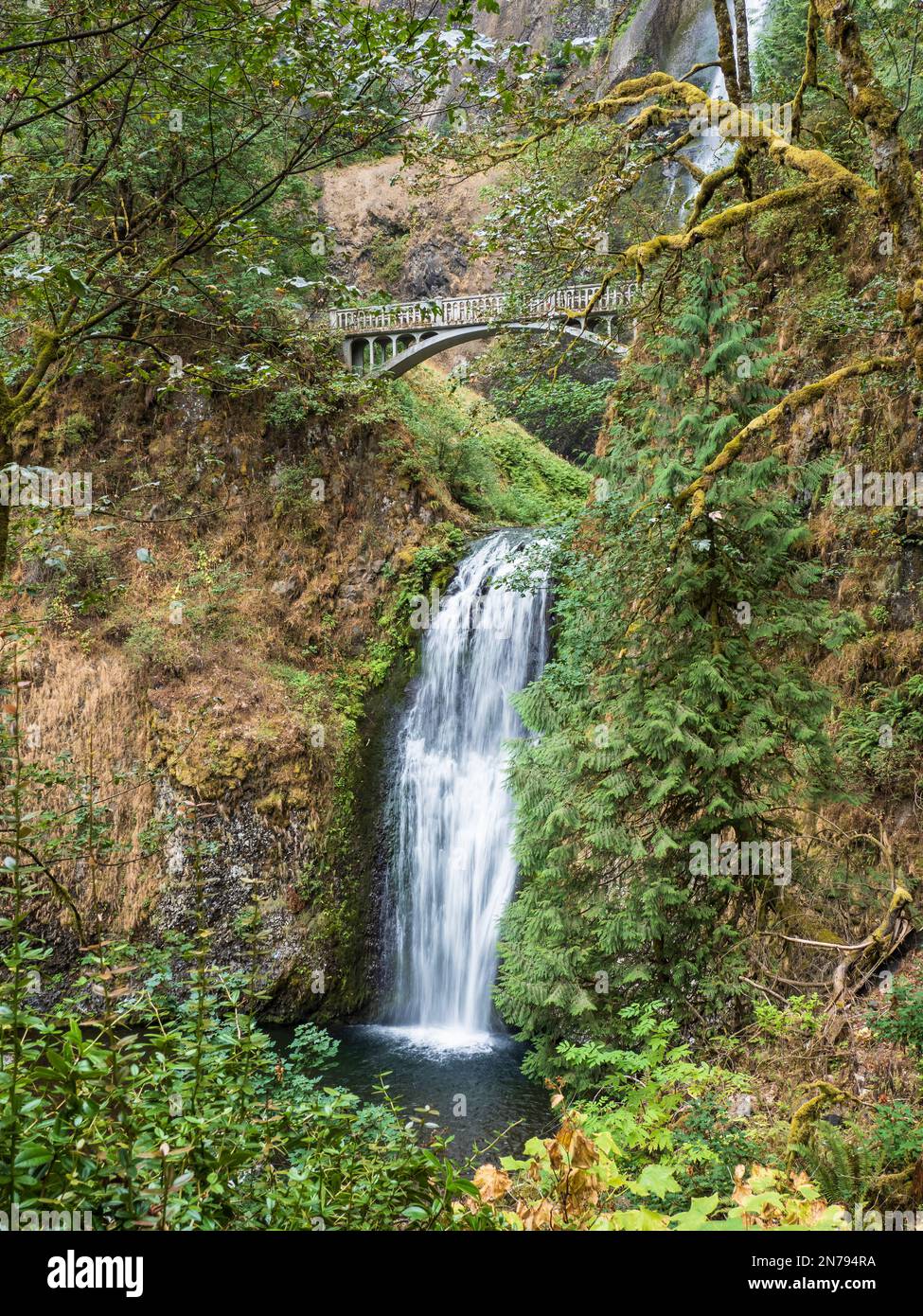 Lower Multnomah Falls, Columbia River Gorge National Scenic Area ...