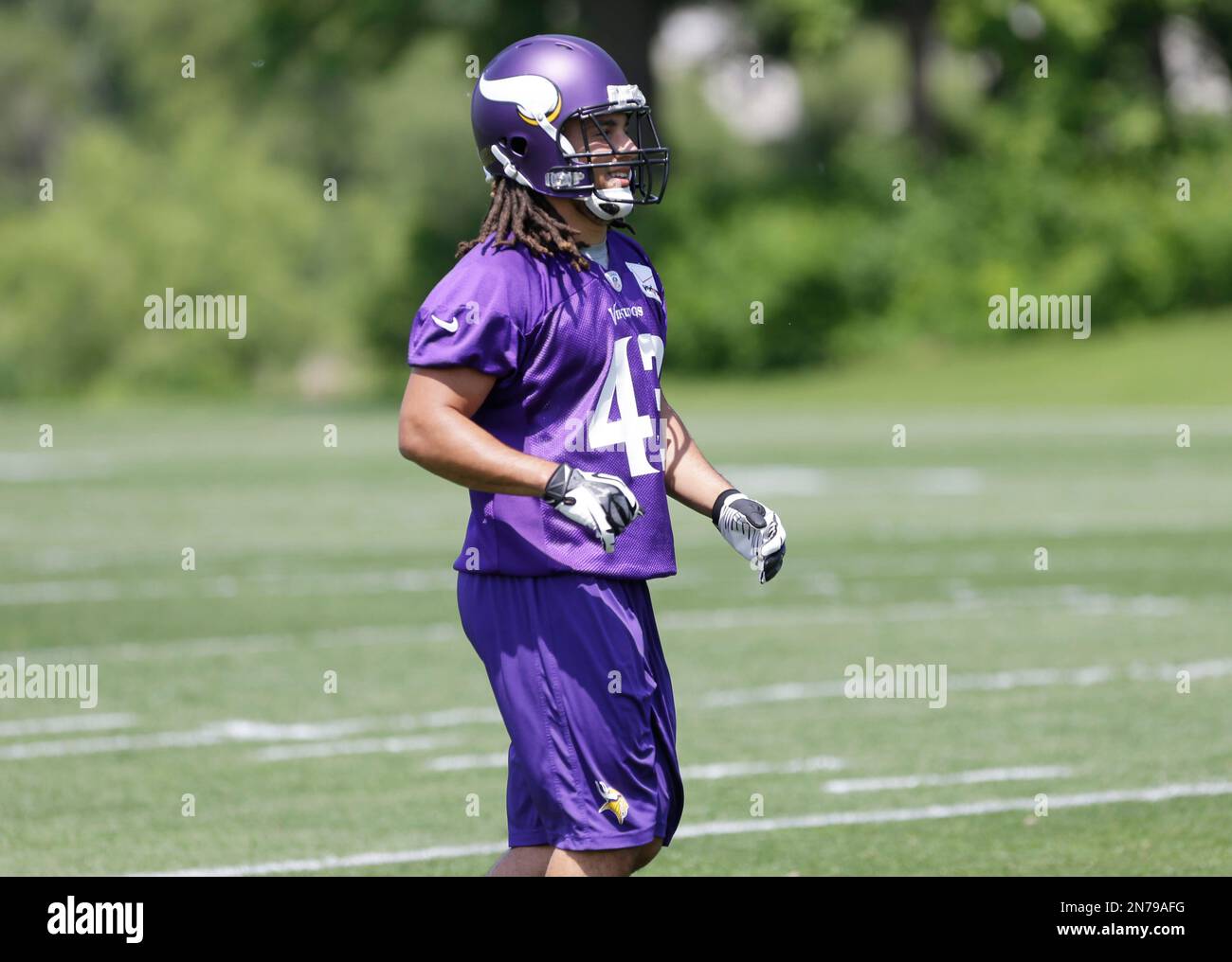Minnesota Vikings running back Jerodis Williams (43) is shown during ...
