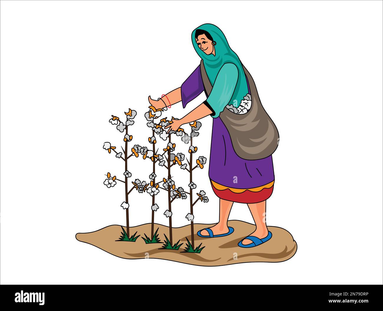 Woman collecting cotton hand vector illustration Stock Vector Image ...