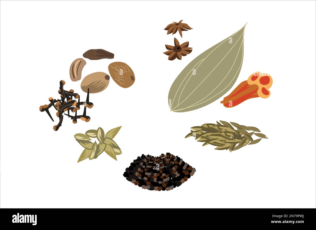 Gram masala vector illustration on white background Stock Vector Image ...