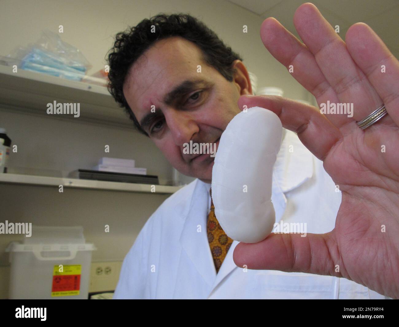 Dr. Anthony Atala holds the "scaffolding" for a human kidney created by ...