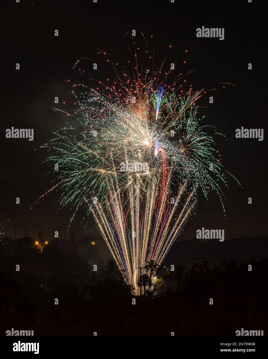 The nice fireworks in dark night Stock Photo - Alamy
