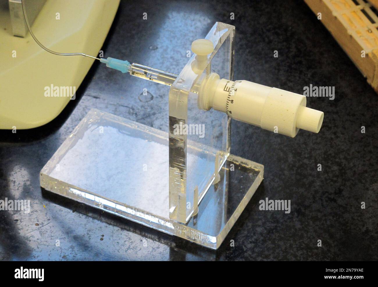 A syringe used to collect bee semen for a bee sperm bank is seen Monday ...