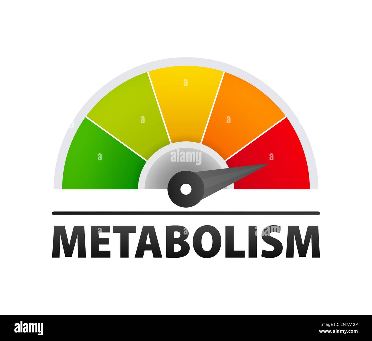 Metabolism level scale, speedometer, indicators. Metabolism medical ...