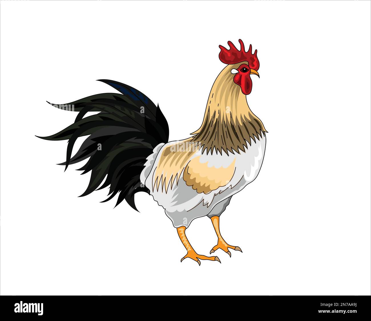 roster vector illustration on white background Stock Vector Image & Art ...