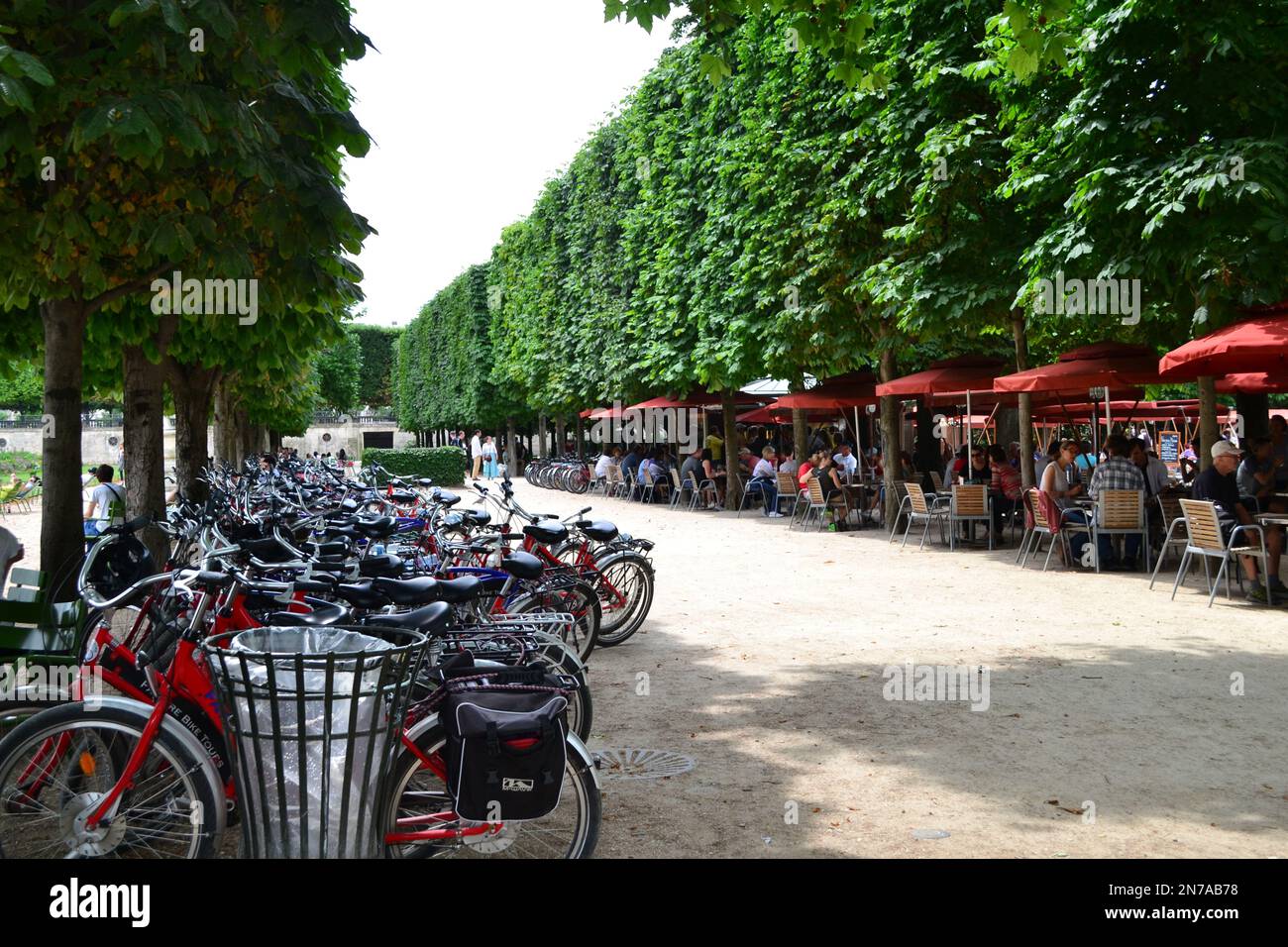 tree lined avenue in Paris with people enjoying outside dining Stock ...