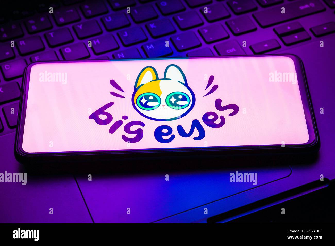 In this photo illustration the Big Eyes logo seen displayed on a ...