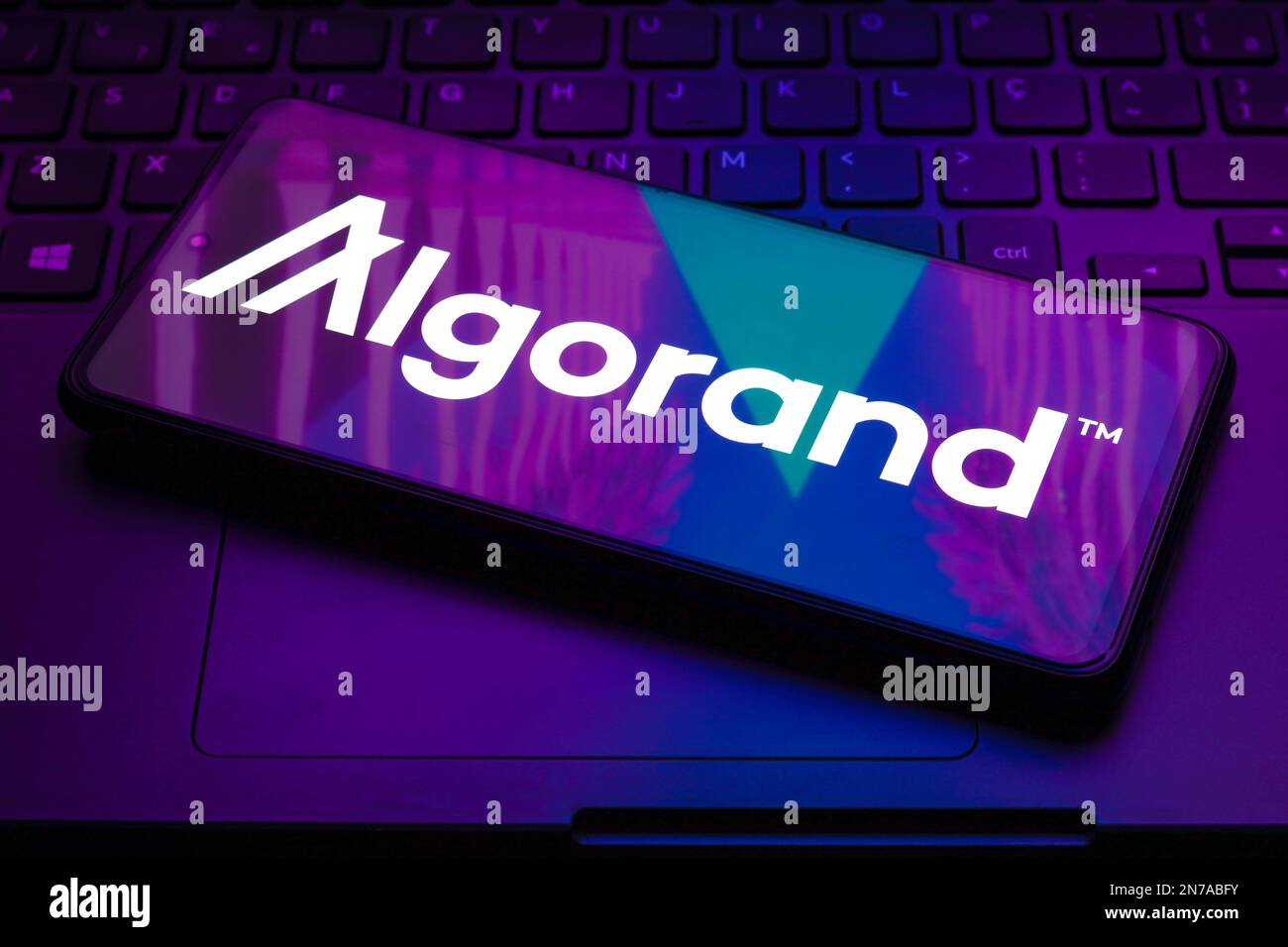 In this photo illustration the Algorand logo seen displayed on a ...