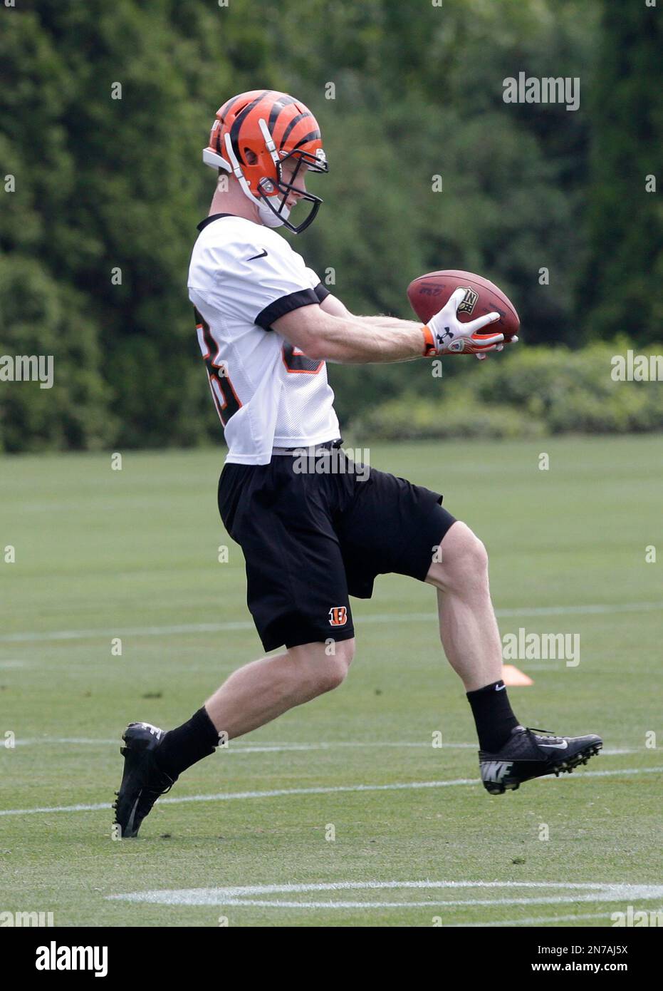 Cincinnati Bengals wide receiver Ryan Whalen catches a pass during the ...