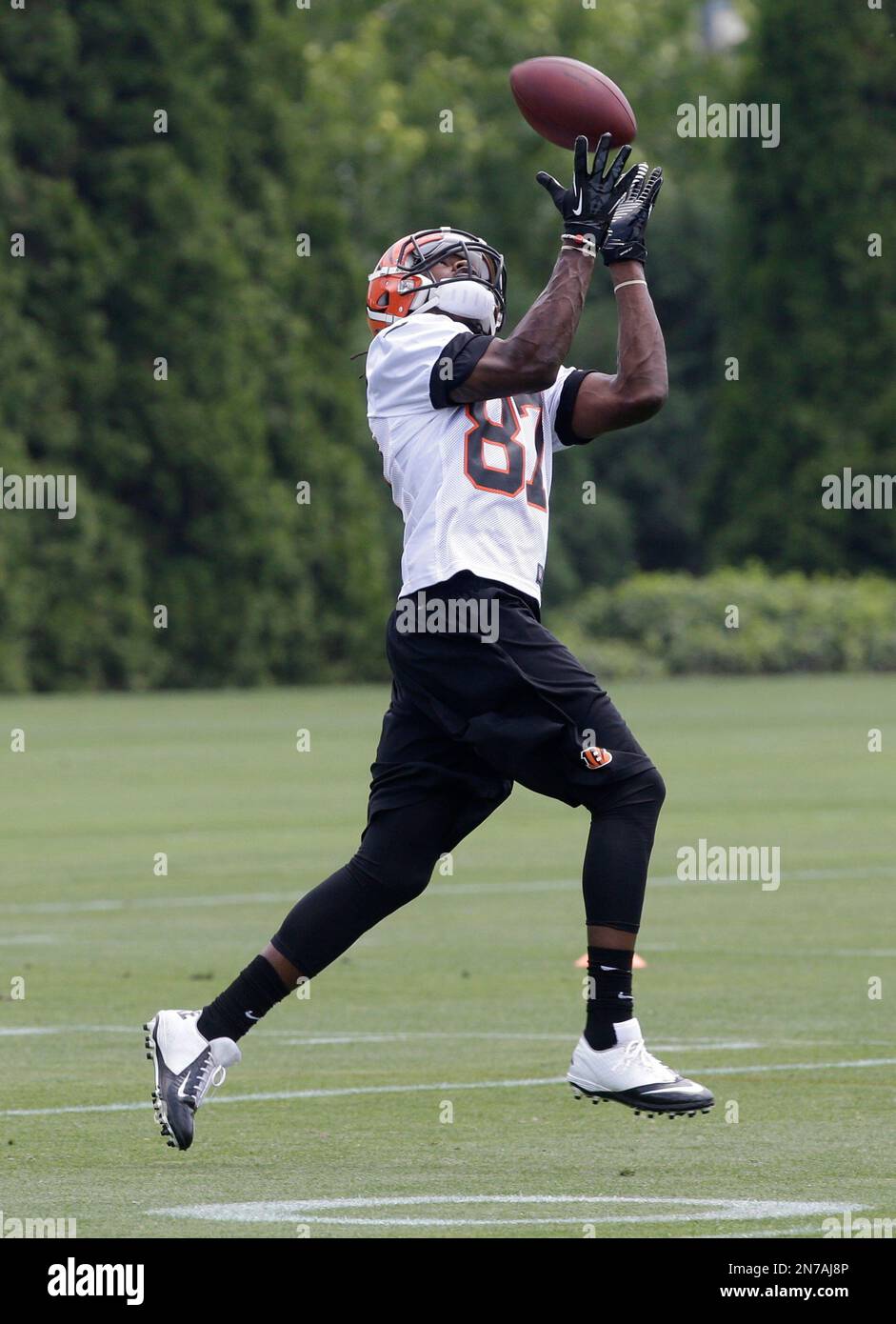 Cincinnati Bengals wide receiver Cobi Hamilton catches a pass during ...