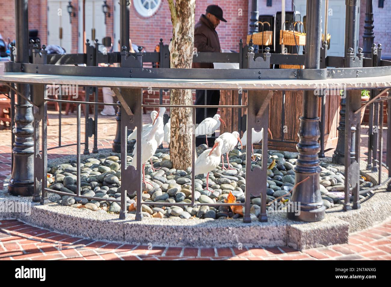 Bay Lake, FL, USA. February 03, 2023: Magic Kingdom weekends walk in ...