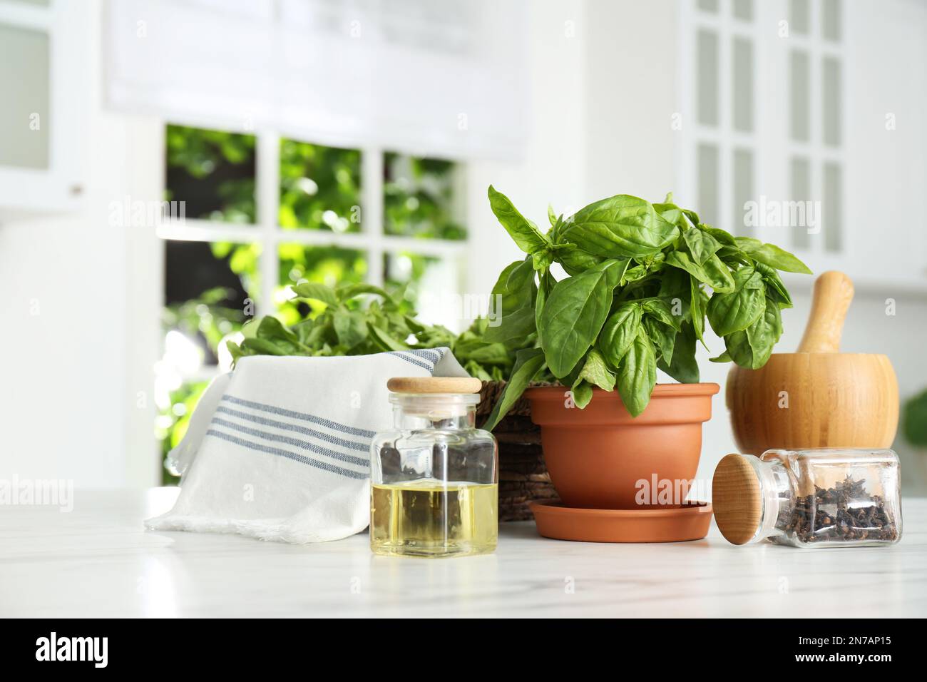 Fresh green basil in pot on white marble table in kitchen Stock Photo ...