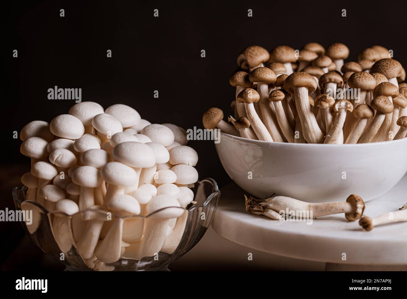 White and brown shimeji edible mushrooms: Shimeji native to East Asia ...