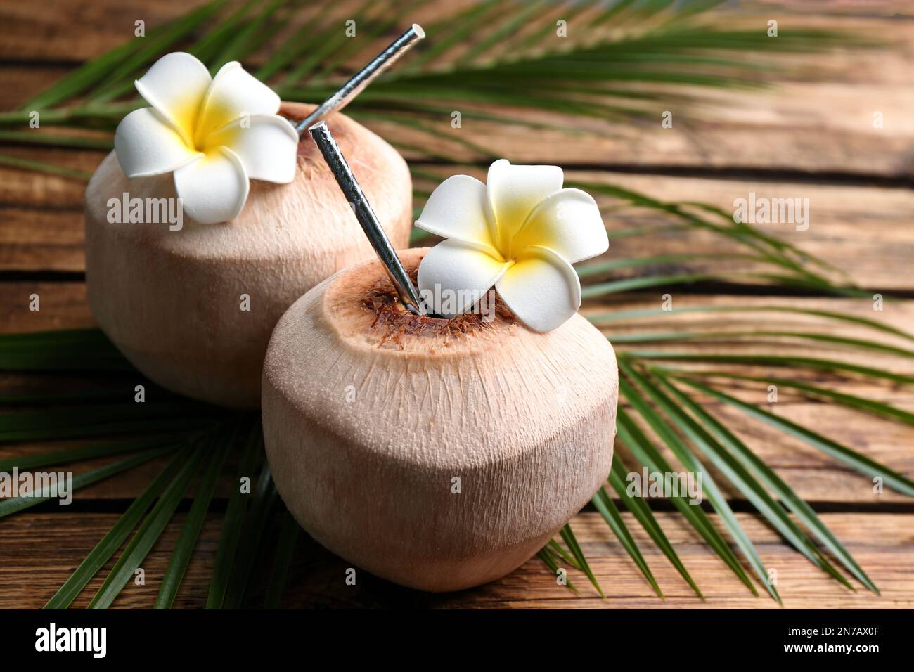 Coconut drinking straw on palm hi-res stock photography and images - Alamy
