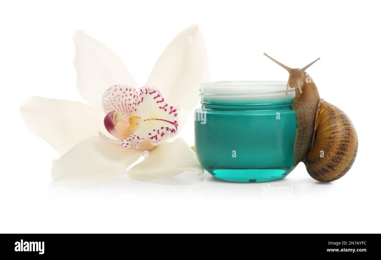 Snail, jar with cream and orchid flower isolated on white Stock Photo ...