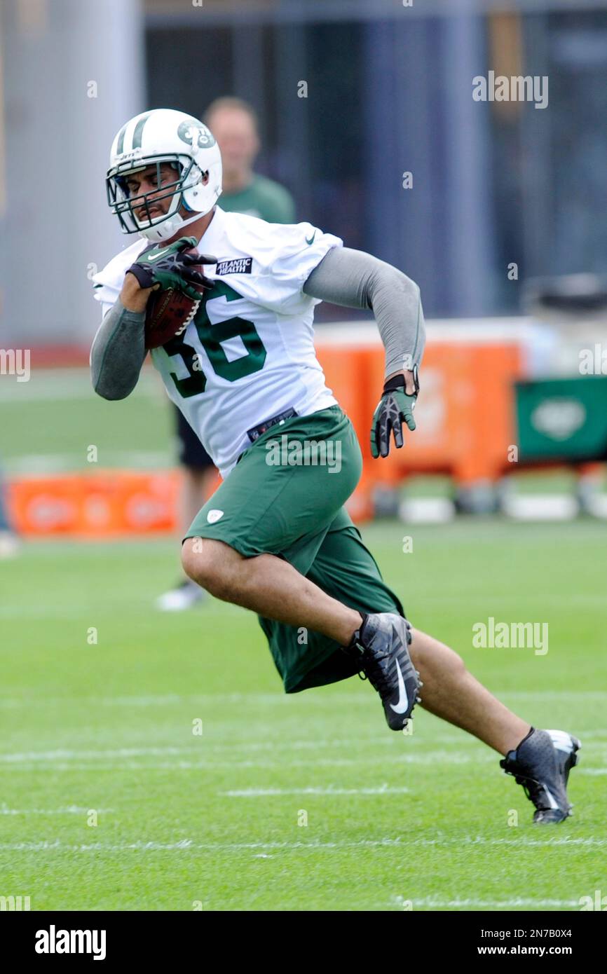 New York Jets fullback Lex Hilliard runs with the ball during NFL ...