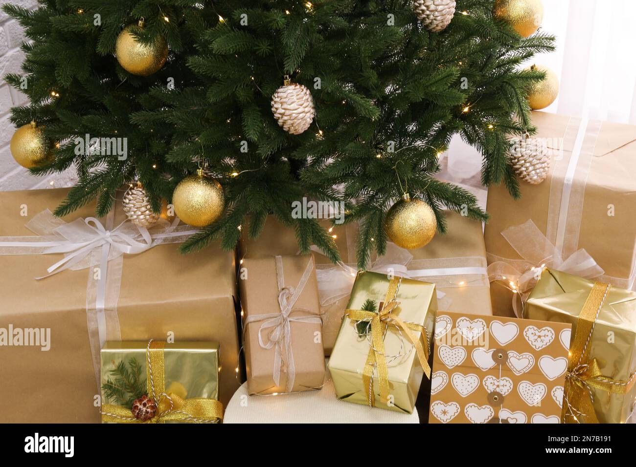 Tree indoors hi-res stock photography and images - Alamy