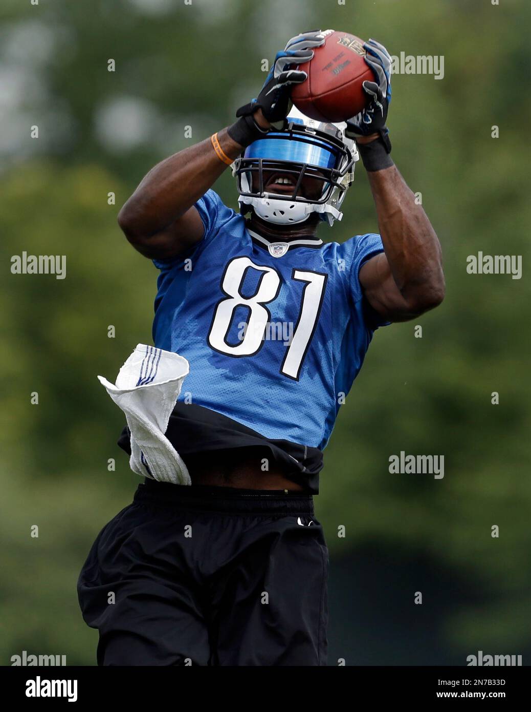 Detroit Lions wide receiver Calvin Johnson catches a ball during a NFL ...