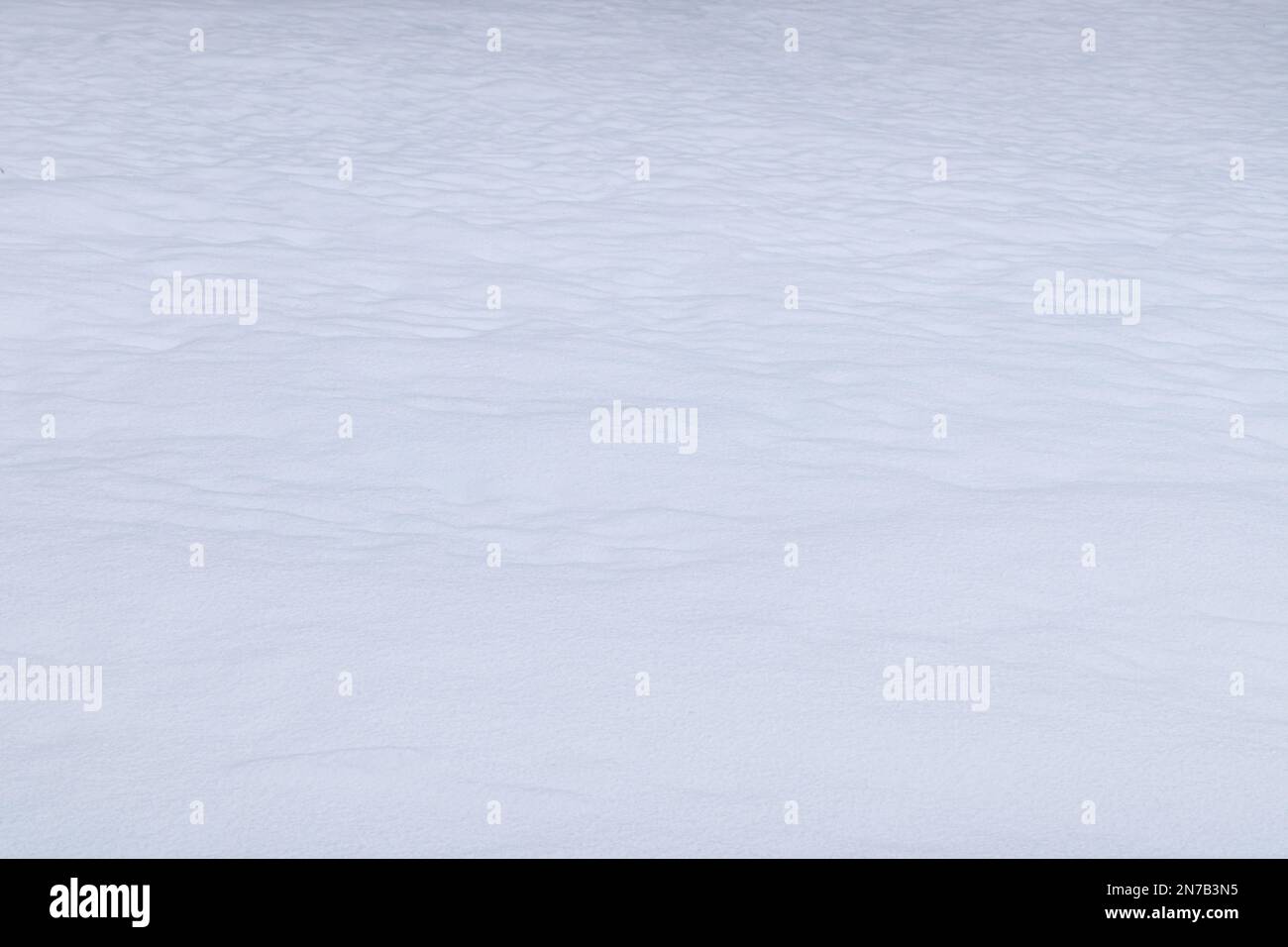 Beautiful shiny snow as background, closeup view Stock Photo - Alamy