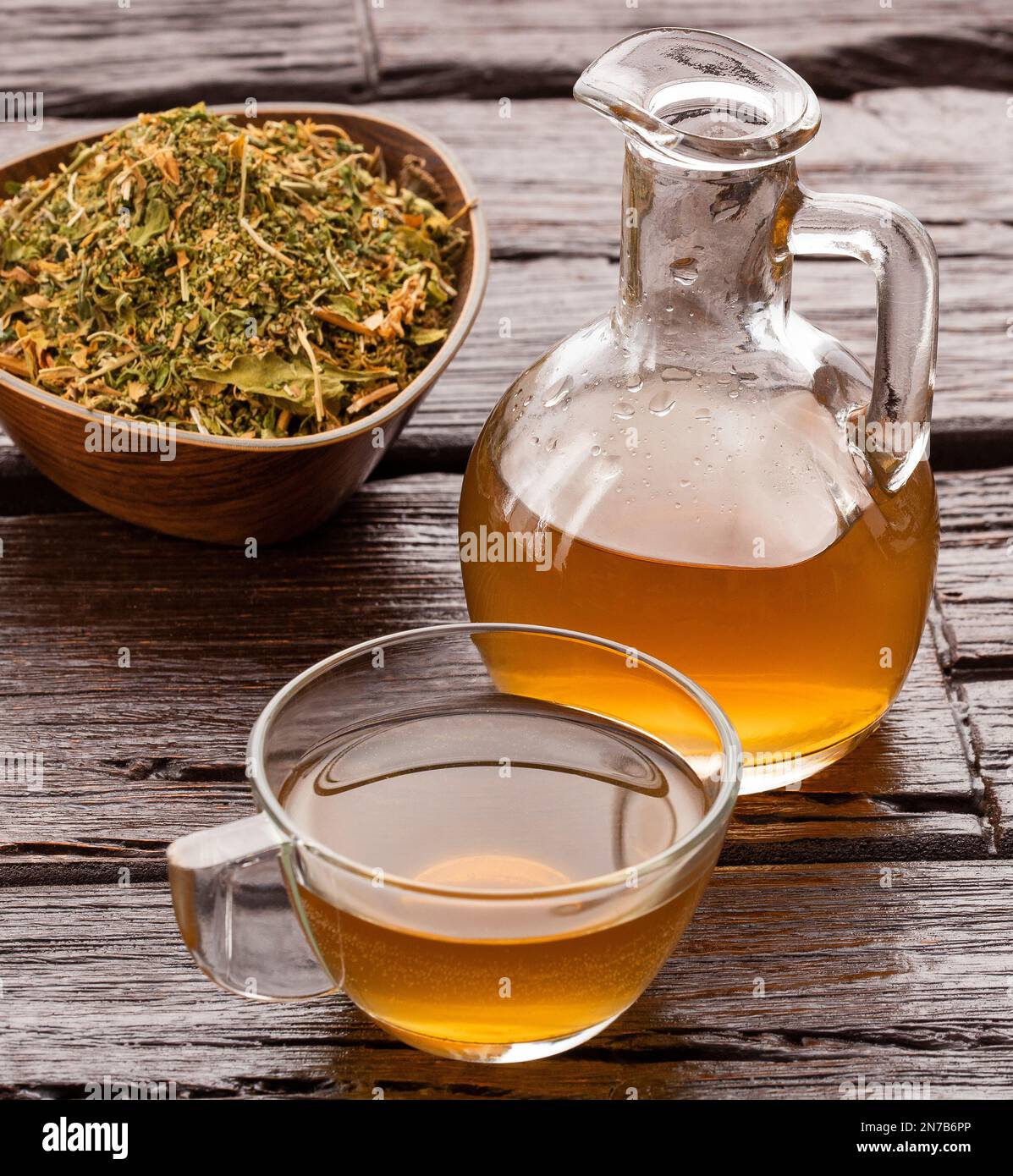 Medicinal paicol hot drink - Dysphania ambrosioides. Infusion Stock ...