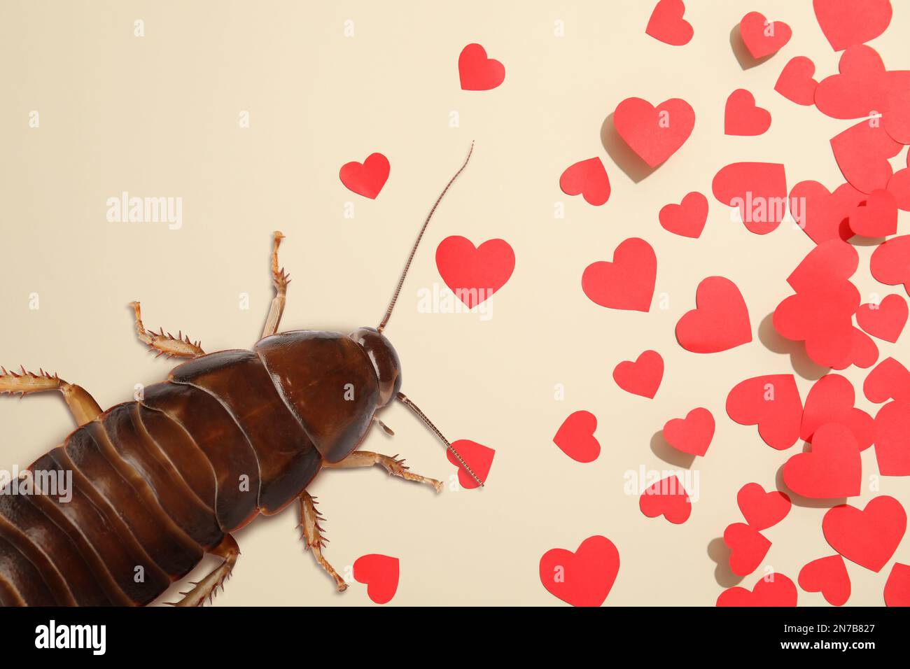 Valentine's Day Promotion Name Roach - QUIT BUGGING ME. Cockroach and ...
