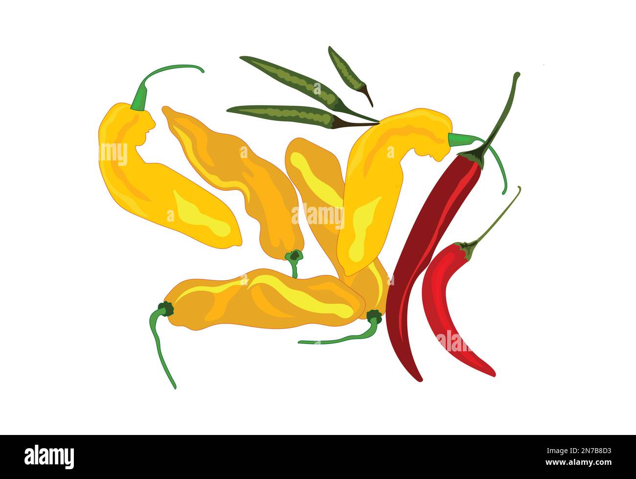 Chili peppers vector illustration on white background Stock Vector ...