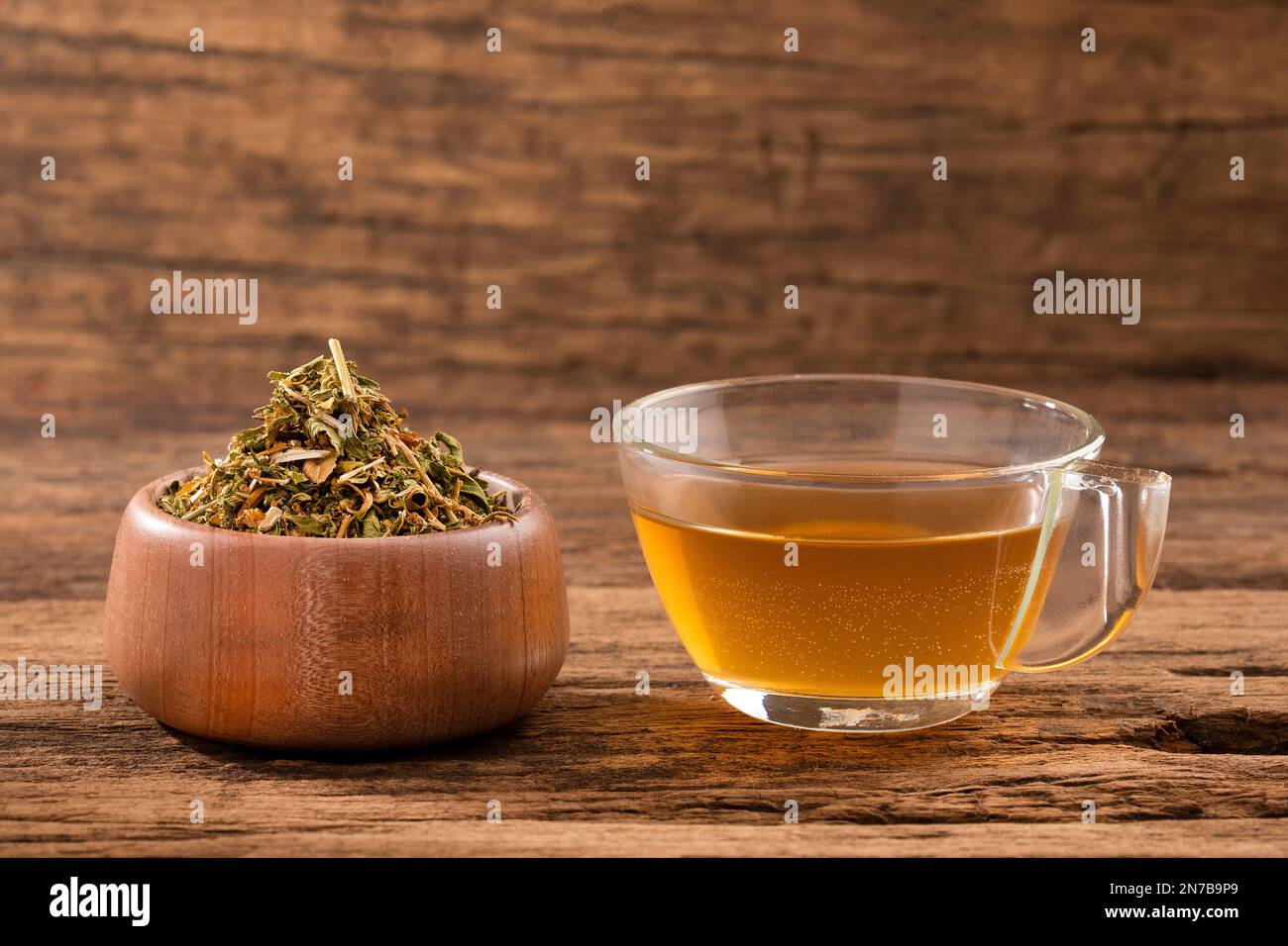 Dysphania ambrosioides - Medicinal epazote hot tea Stock Photo - Alamy