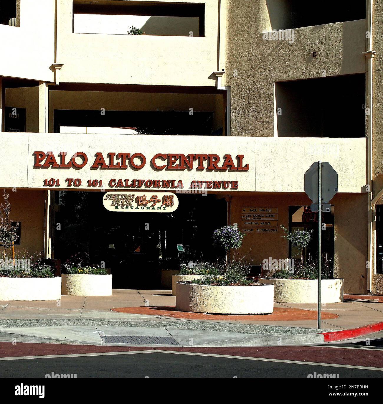 Peking Duck Palo Alto