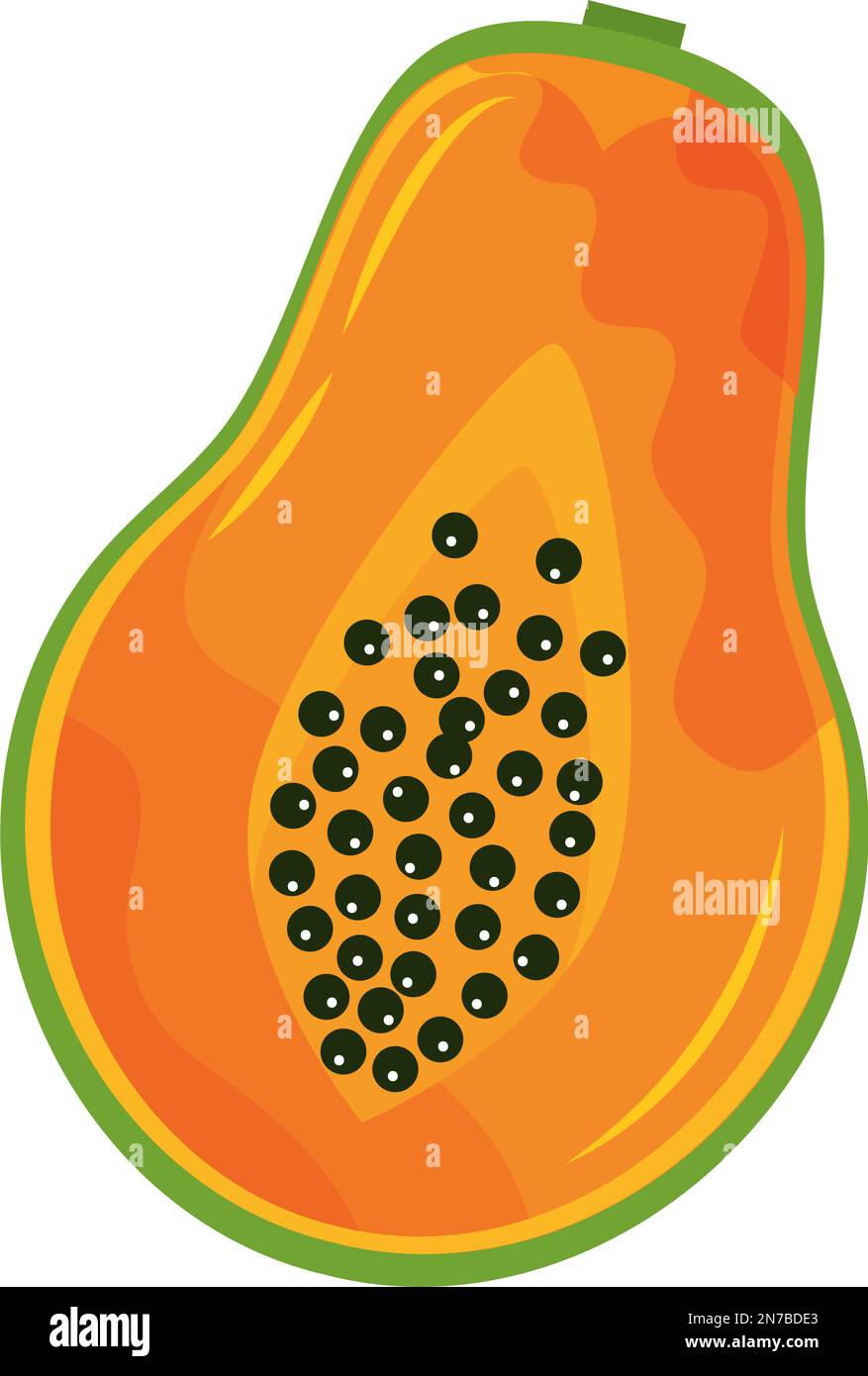 papaya fruit icon Stock Vector Image & Art - Alamy