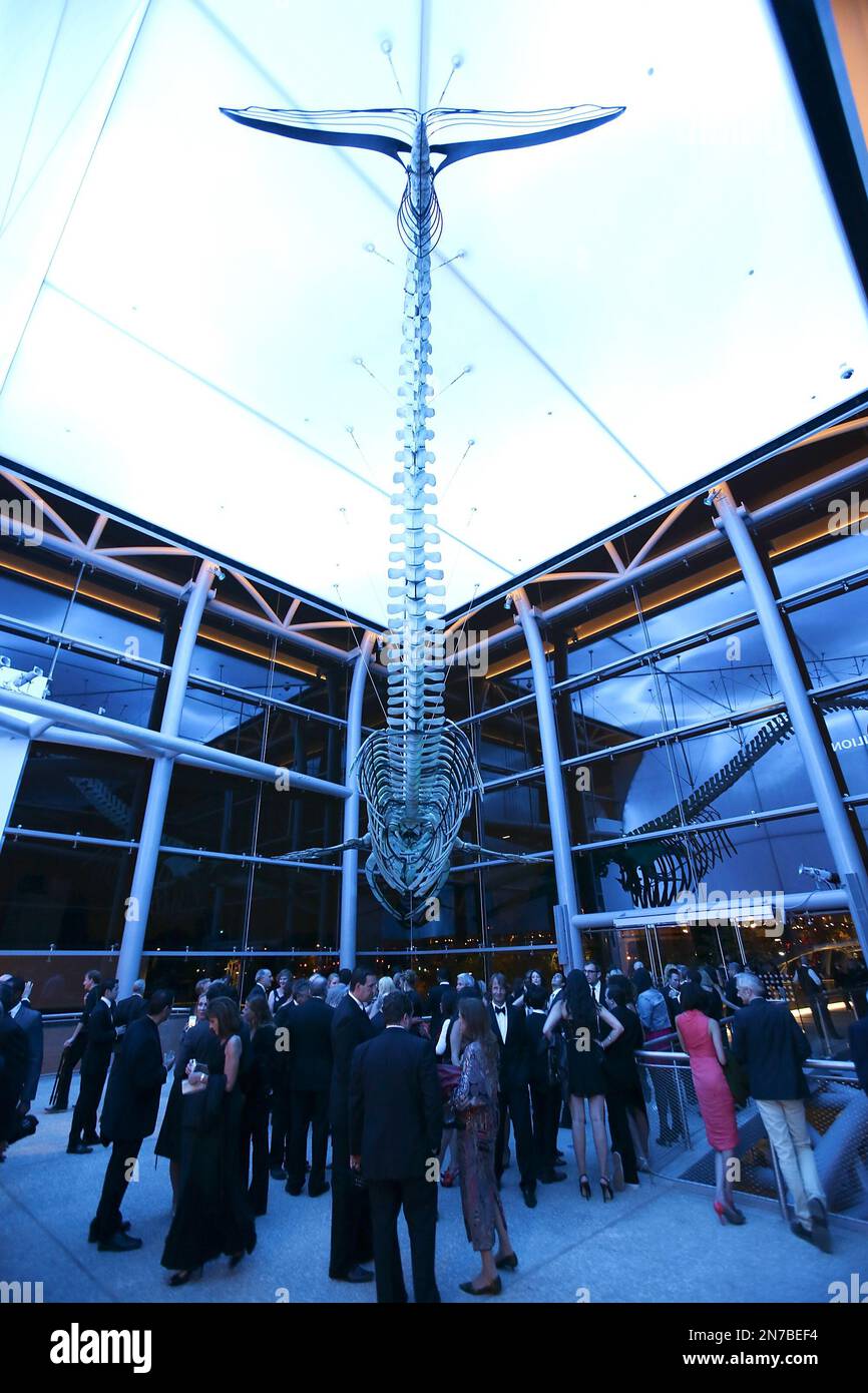 The Otis Booth Pavilion during the 100th Anniversary Gala at the ...