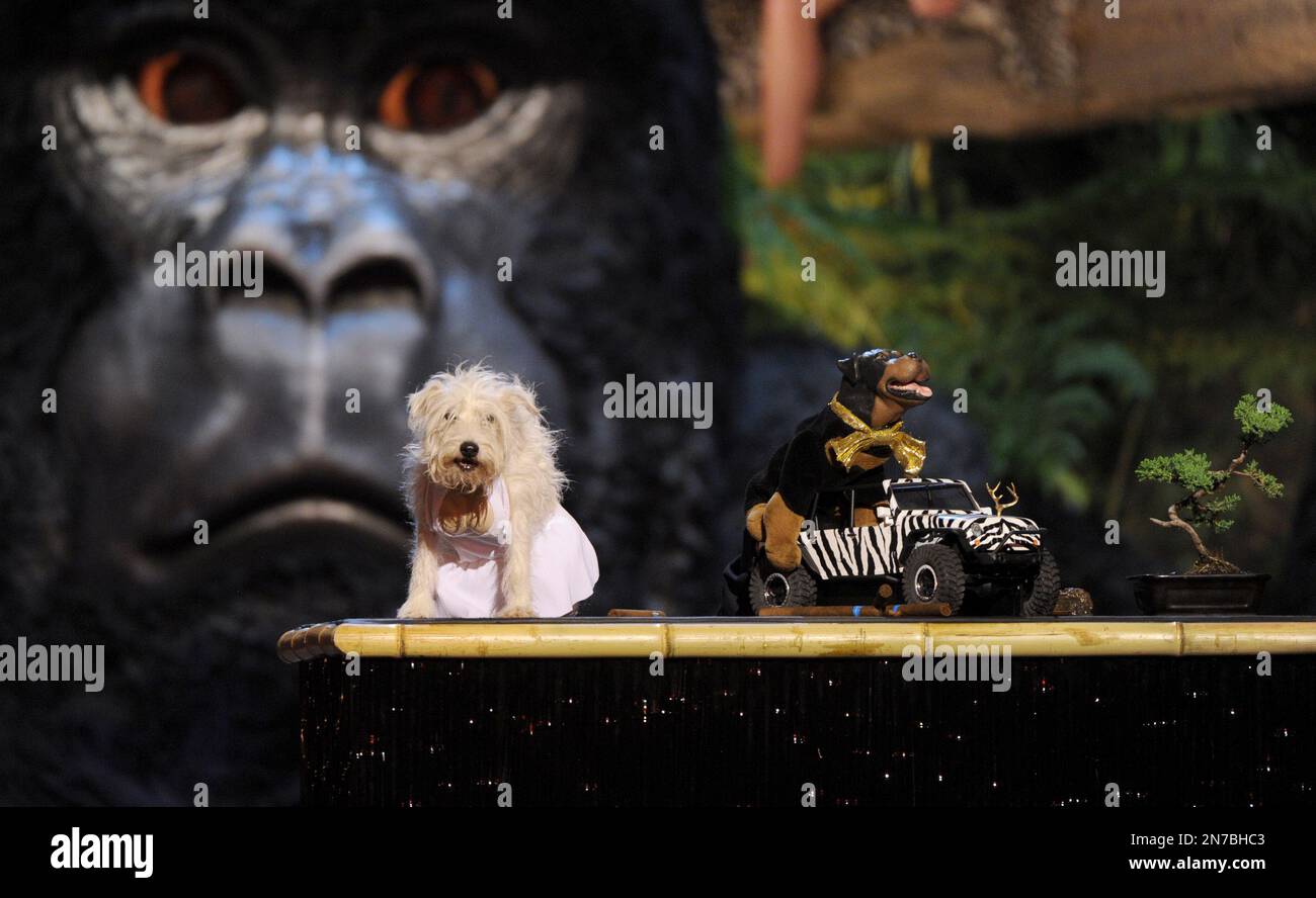 Triumph the Insult Comic Dog, aka Robert Smigel, right, speaks on stage ...