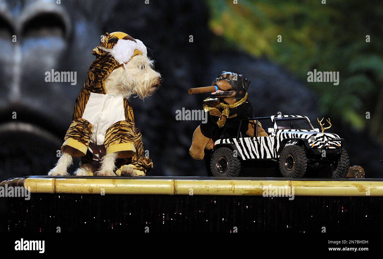 Triumph the Insult Comic Dog, aka Robert Smigel, right, speaks on stage ...