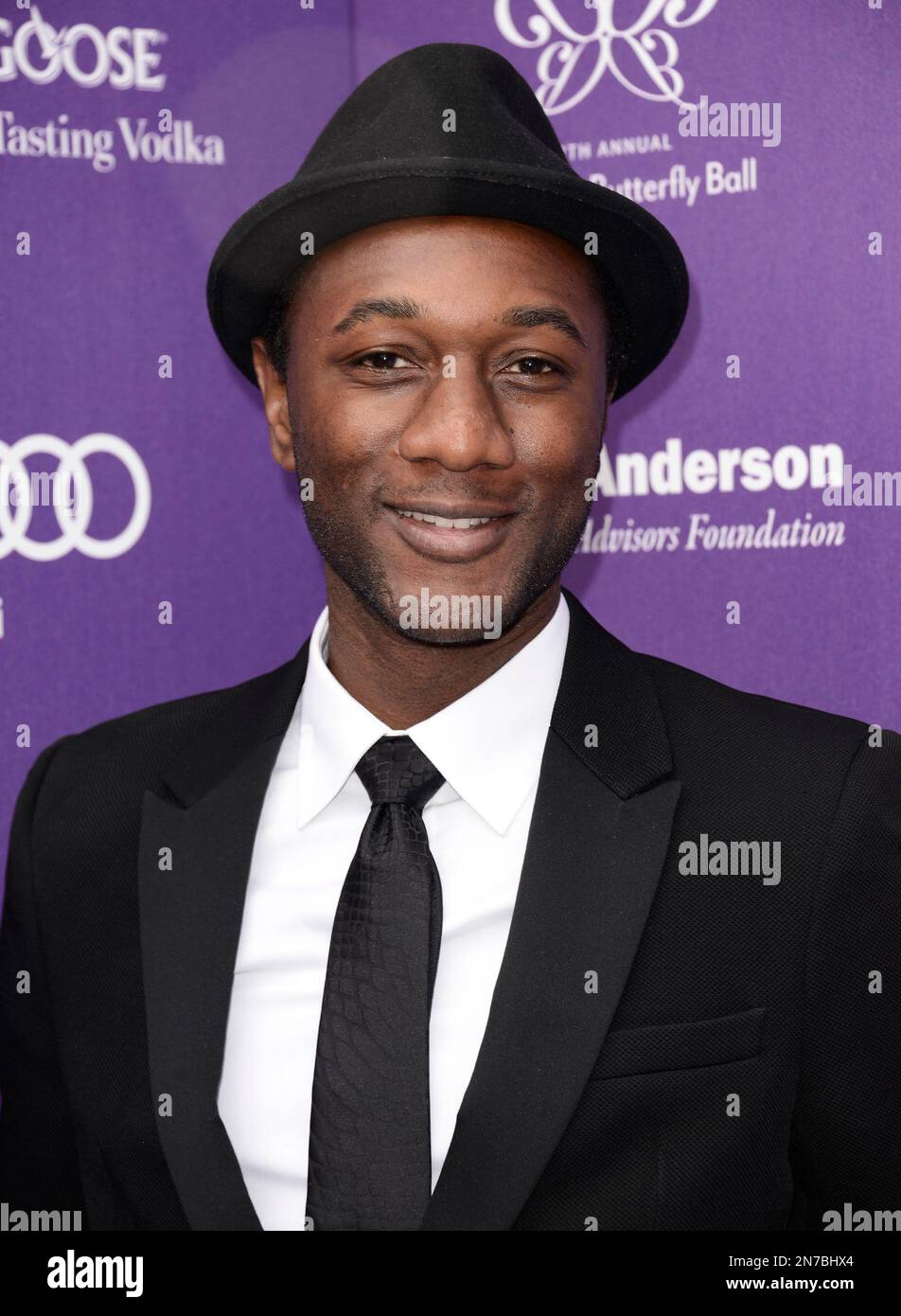 Singer Aloe Blacc arrives at the 12th Annual Chrysalis Butterfly Ball ...