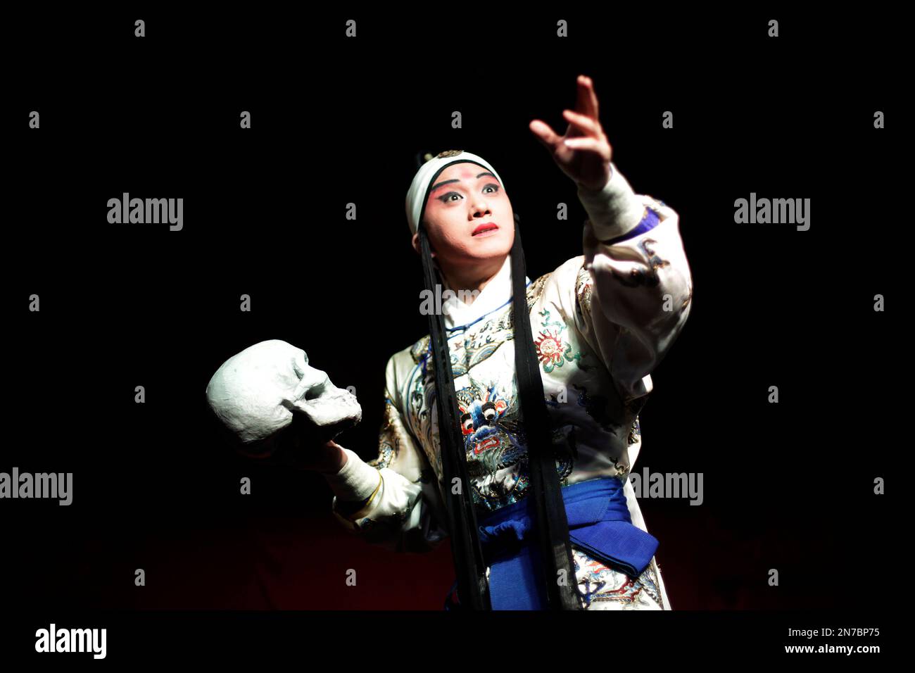 A Beijing Opera artist performs during a show titled "The Revenge of ...