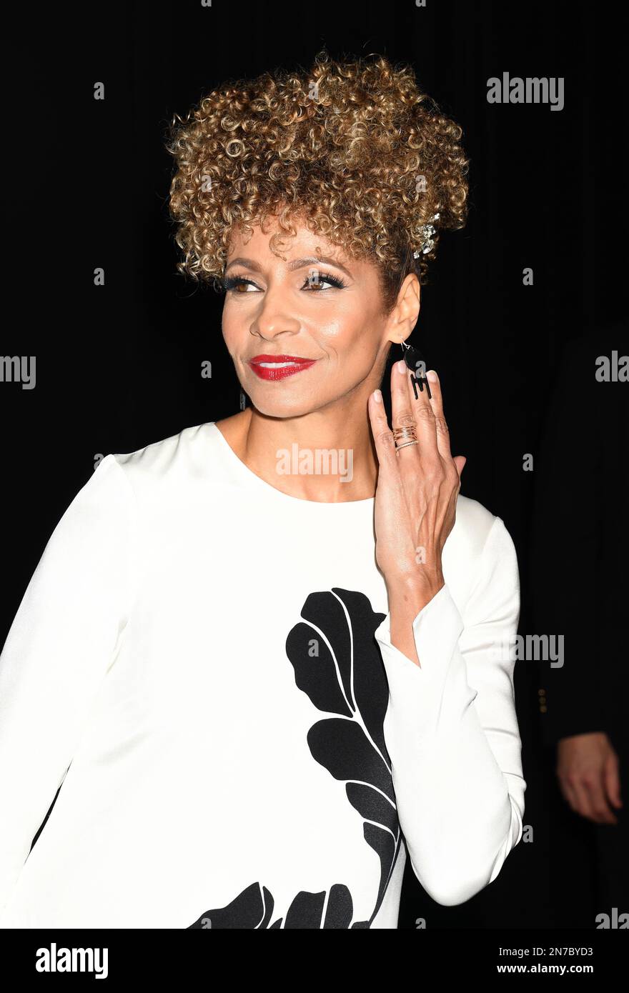HOLLYWOOD, CALIFORNIA - FEBRUARY 09: Michelle Hurd arrives for the Los ...