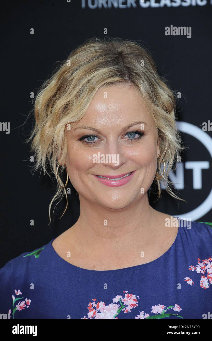 Amy Poehler arrives at the American Film Institute's 41st Lifetime ...