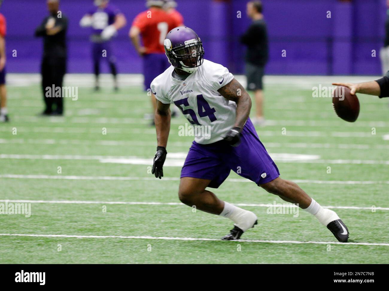 Minnesota Vikings linebacker Gerald Hodges (54) is shown shown during ...