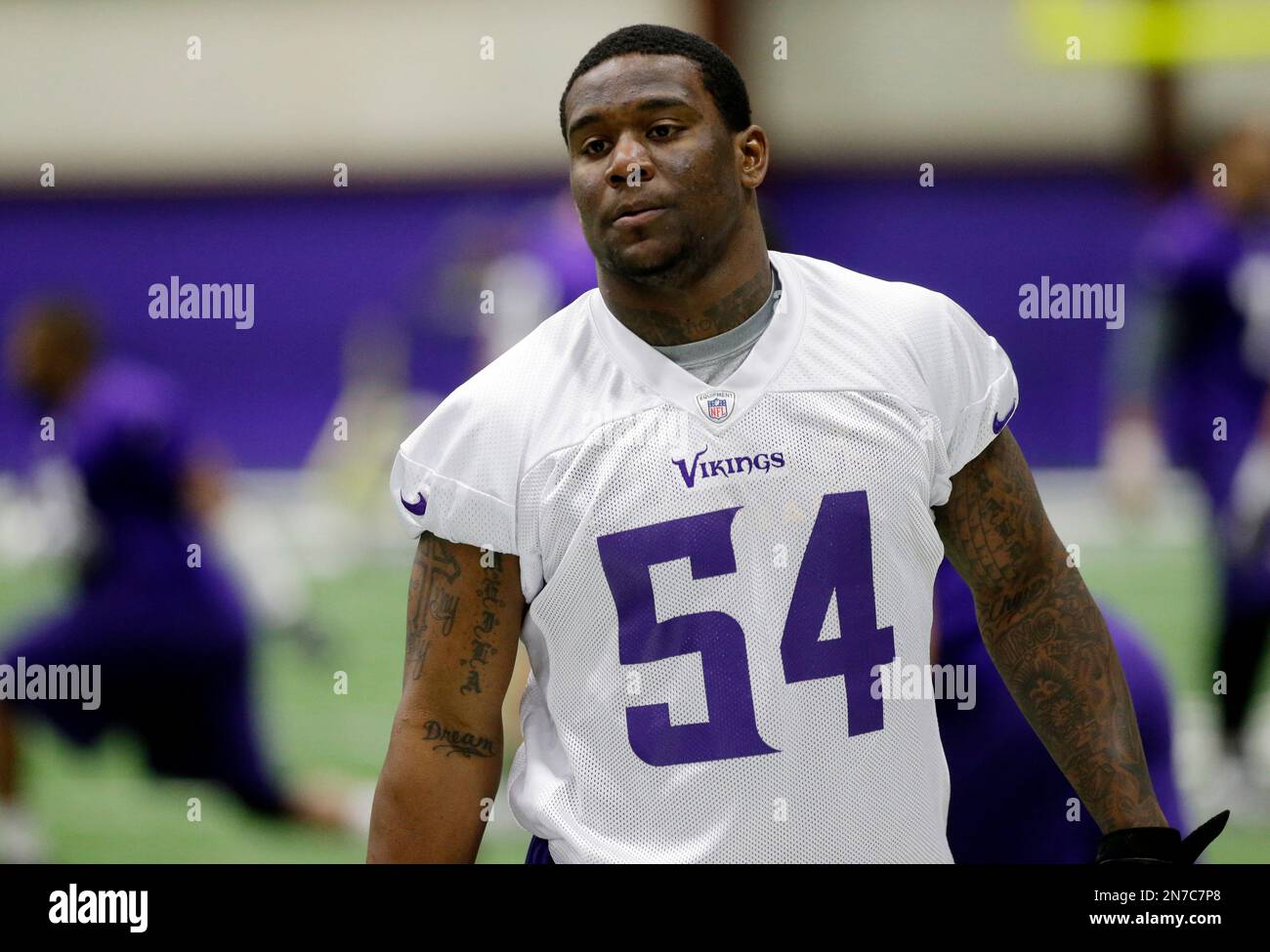 Minnesota Vikings linebacker Gerald Hodges (54) is shown during ...